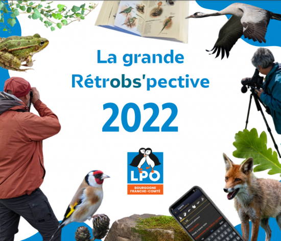 Félicitations à la Bourgogne Franche-Comté pour sa Rétrobs'pective 2022 ...