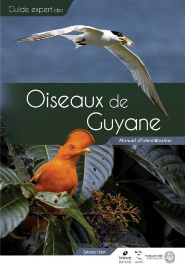Il est arrivé ! Le « Guide expert » des oiseaux de Guyane - www.faune ...