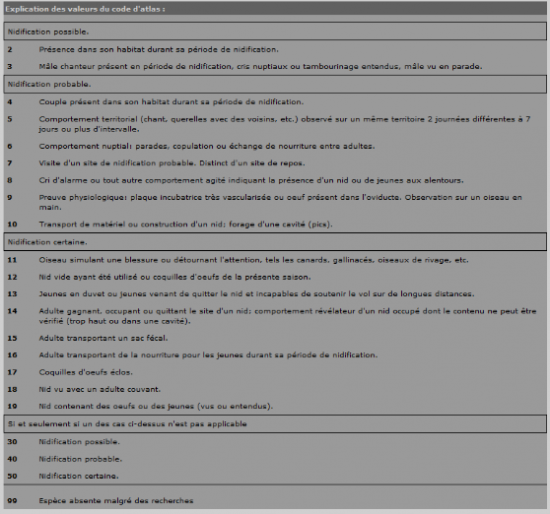 Toutes les nouvelles - www.oiseauxdesjardins.fr